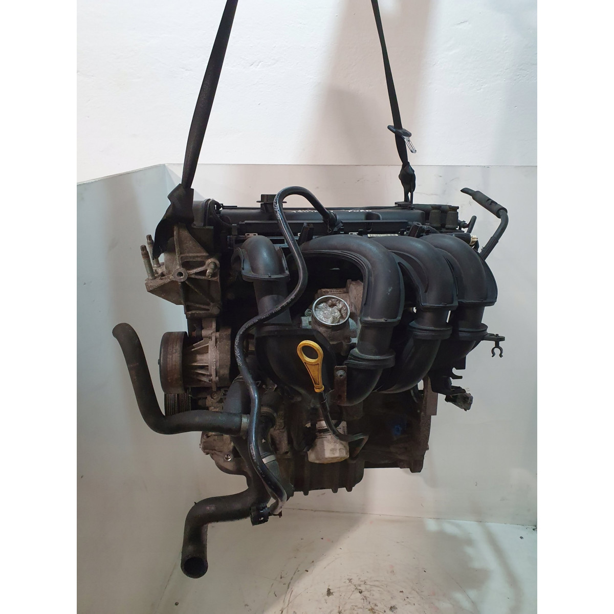 Двигун Ford FOCUS II 1.6 SHDC B4164S3 HWDA HWDB SHDA SHDB в Україні ...
